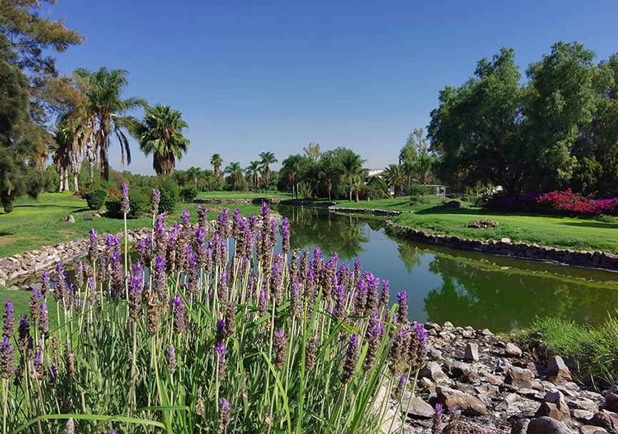 Página no encontrada – Balvanera